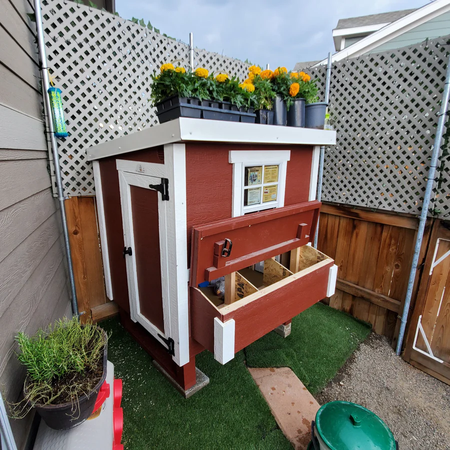 Chicken Coops for Sale | Premium Backyard Chicken Coops | Chicken Coops ...