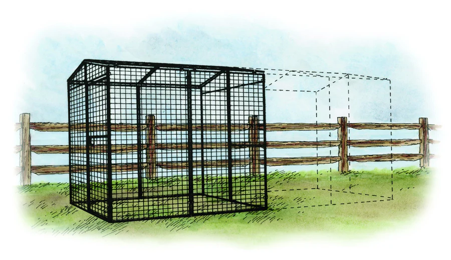 Chicken Coops for Sale | Premium Backyard Chicken Coops | Chicken Coops ...